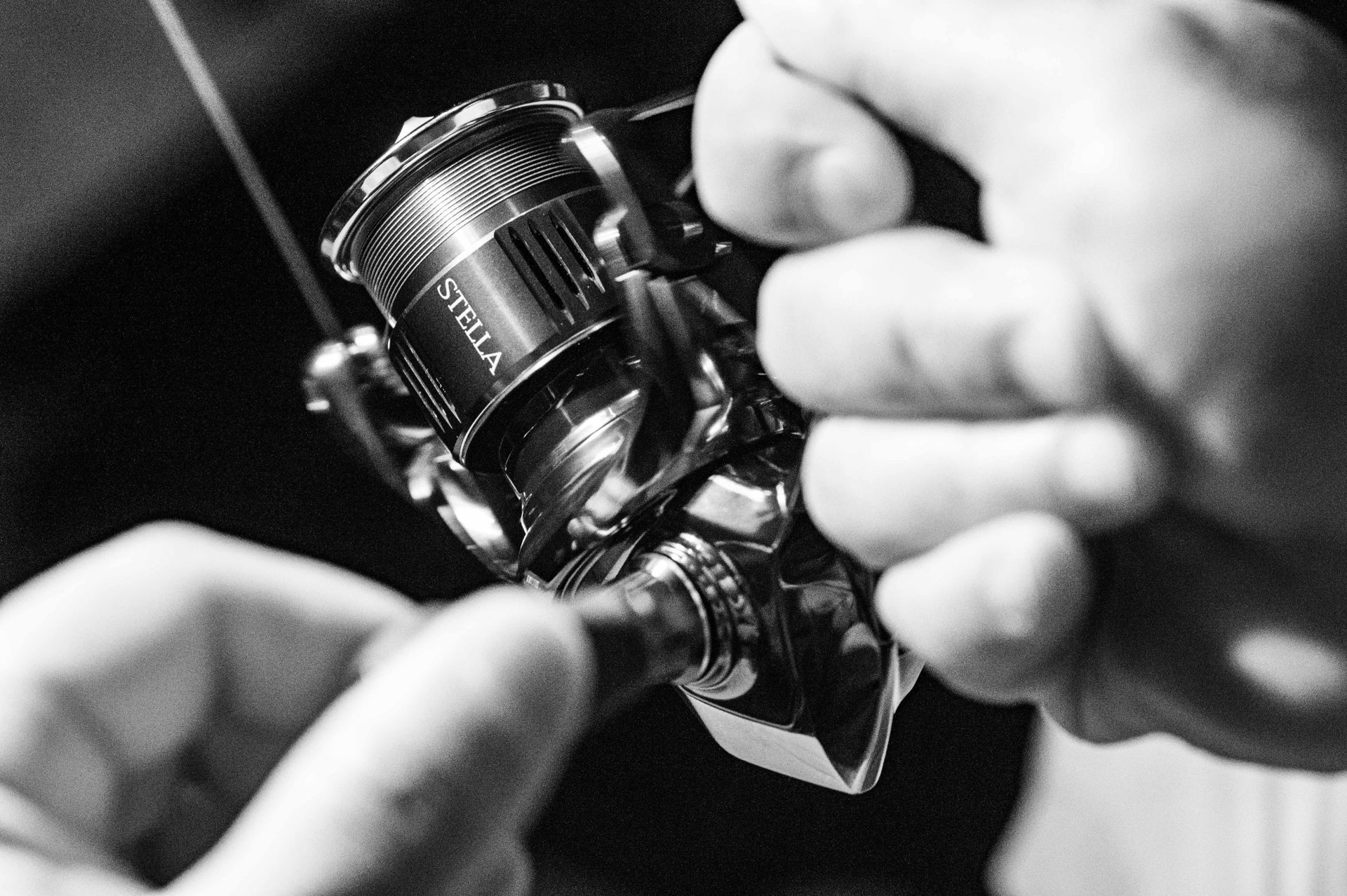 Noroco. Shimano Stella FK 1000